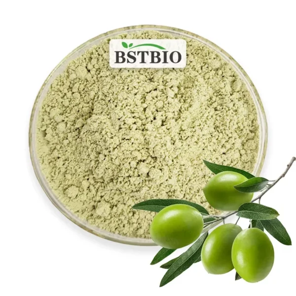 Olive Leaf Extract Powder (70% Oleuropein) Manufacturer - BSTBIO